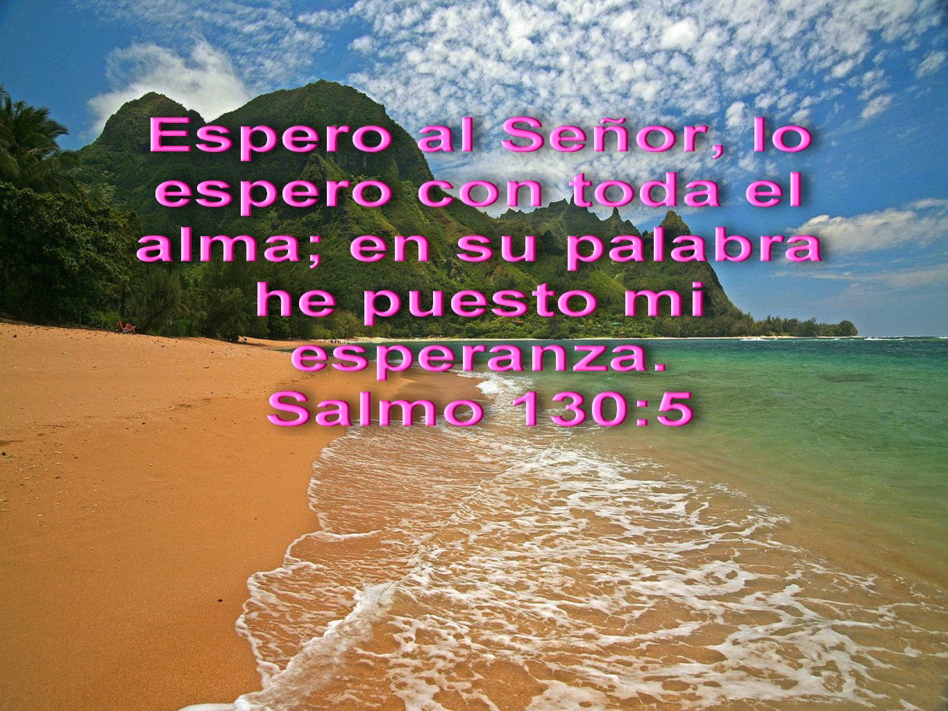 "Los Salmos hoy. Versión oracional a la luz del Evangelio" :: Libros ...