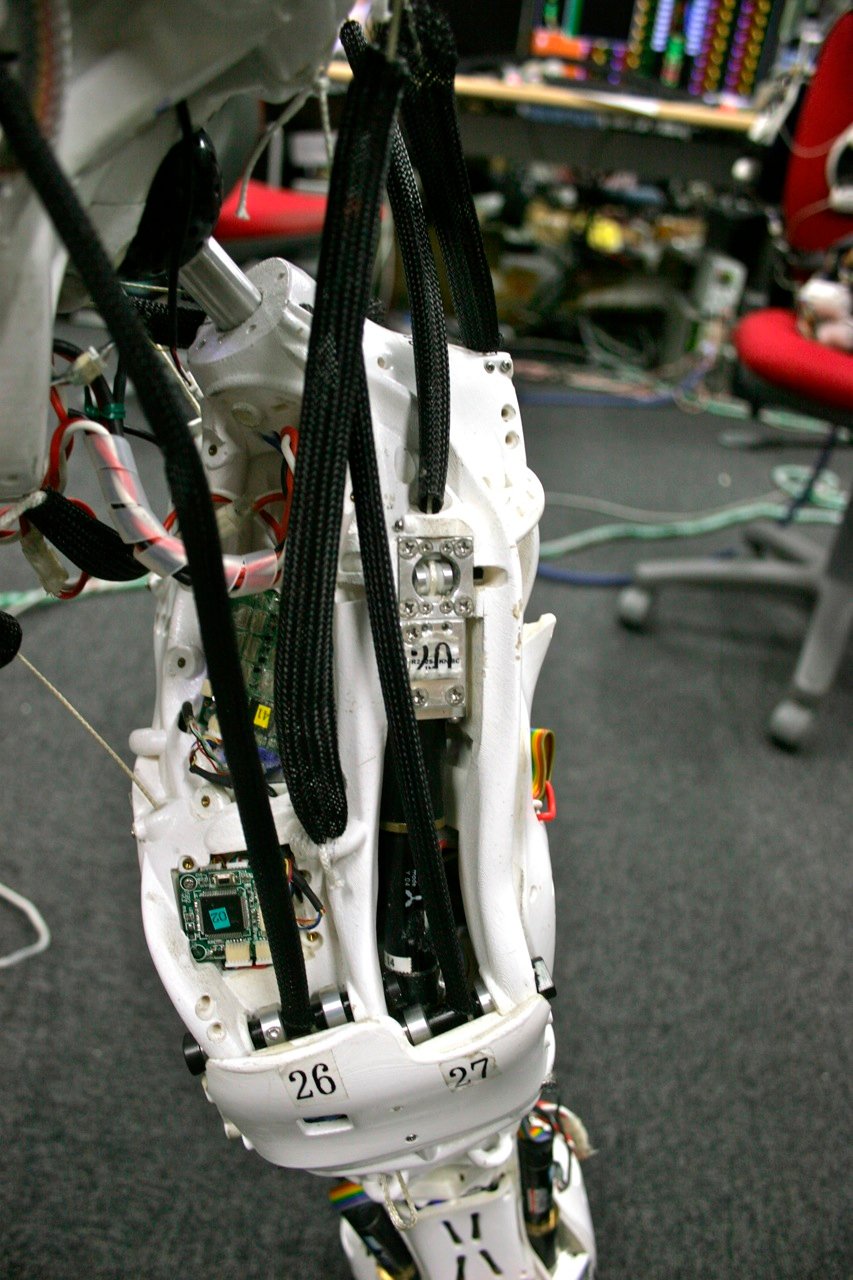 Kojiro, el robot que mejor simula tu sistema de músculos y esqueleto ...