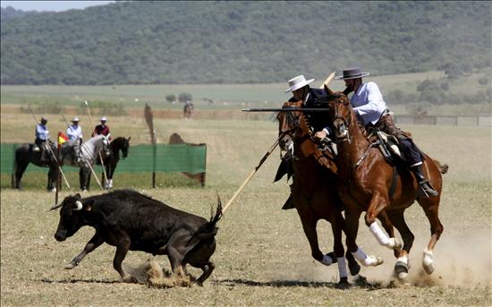 El garrochista charro Juan Rivas, ganador del campeonato de acoso y ...