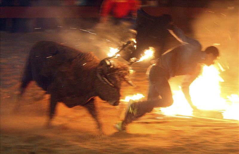 El toro jubilo de Medinaceli quiere ser patrimonio cultural de UNESCO ...