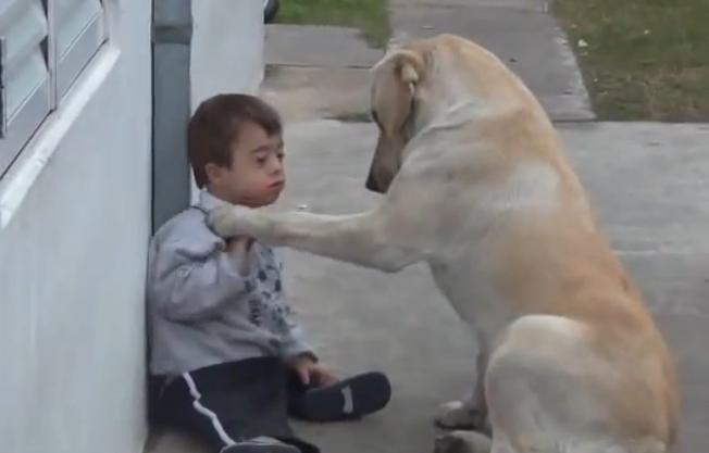 [Vídeo] La historia del niño con síndrome de Down y el perro que logró ...