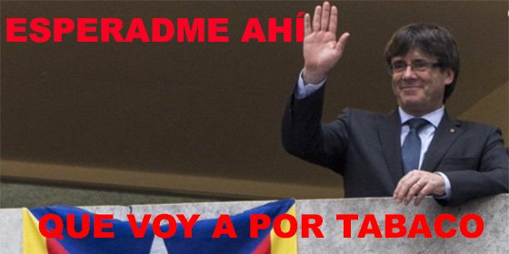 'Catalanes por el Mundo': los mejores memes de la cobarde huída de ...