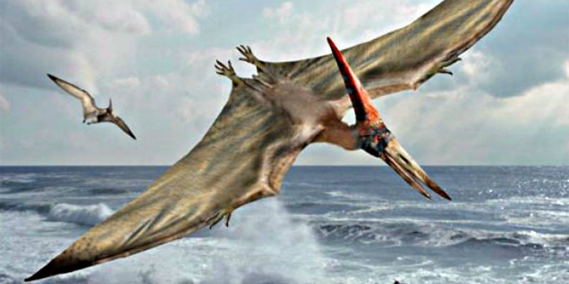 Los pterosaurios, reptiles voladores gigantes, se extinguieron en su ...