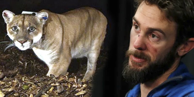 Travis Kauffman : El corredor que estranguló con sus propias manos a un ...