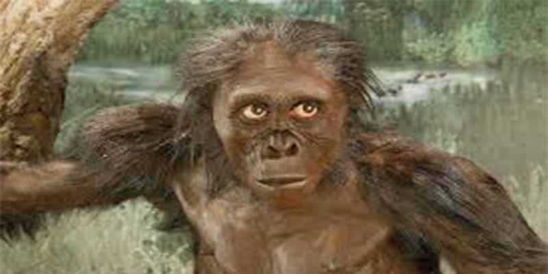 El Origen del Hombre: Fósiles atribuidos a un humano ancestral ...