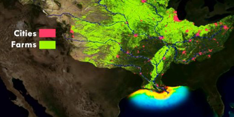 Así es la descomunal zona muerta que resurgió en el golfo de México y ...
