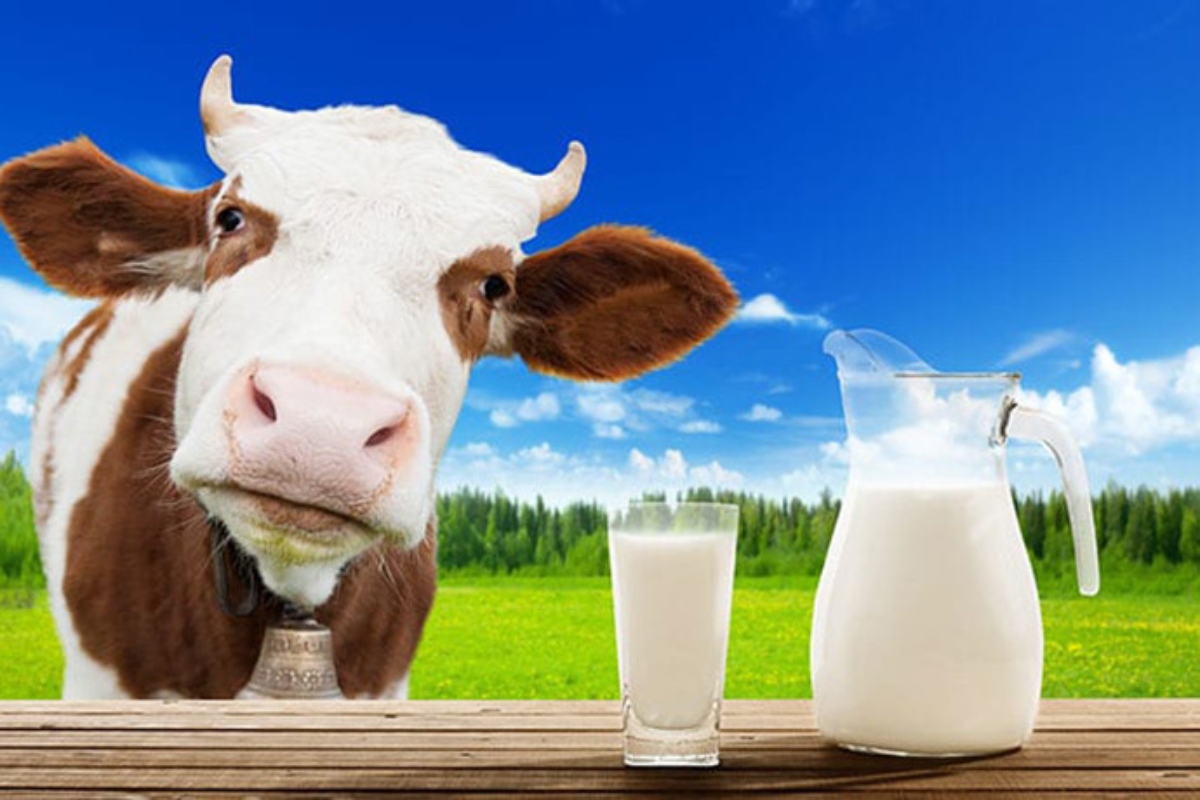 Los 10 datos esenciales sobre la leche - Periodista Digital