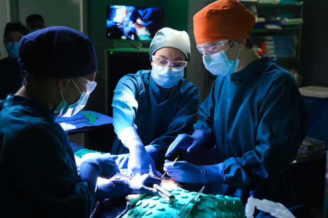 «The Good Doctor» Temporada 3 – Capítulo 7: SFAD - Periodista Digital
