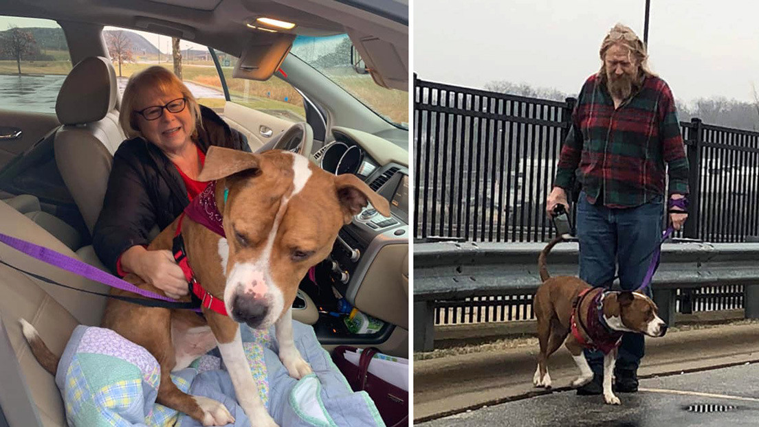 Unos animalistas devuelven a su hogar a este perro robado y trasladado ...