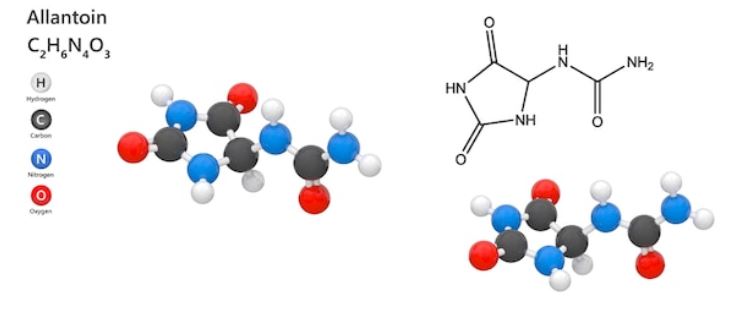 ¿Qué es la alantoína? - Periodista Digital