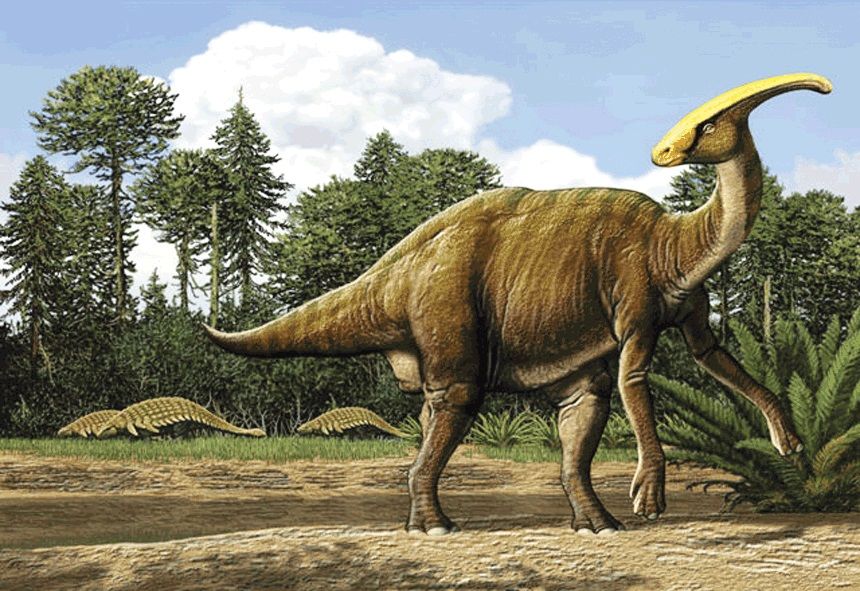 Un inédito fósil desvela el auténtico aspecto de los Parasaurolophus ...
