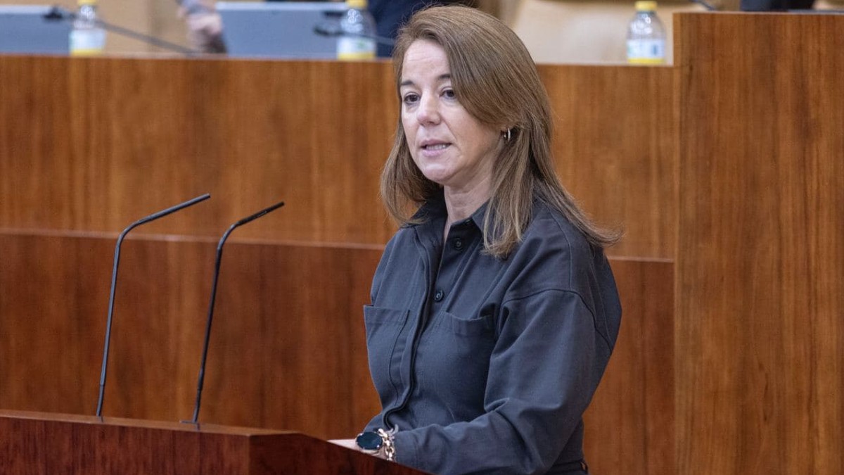 El discurso viral de la portavoz de VOX que se cansa de oír “tonterías ...