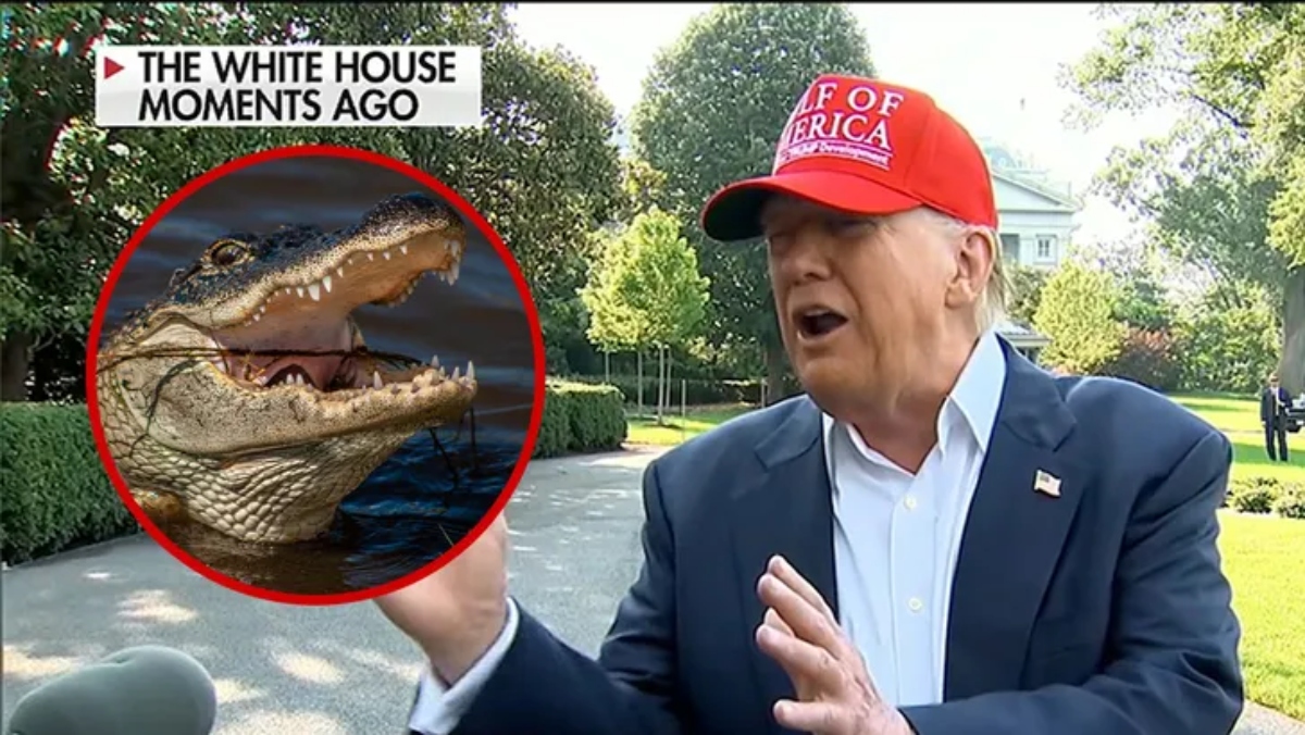 Trump visita Alligator Alcatraz: "Vamos a enseñarles cómo huir de un ...